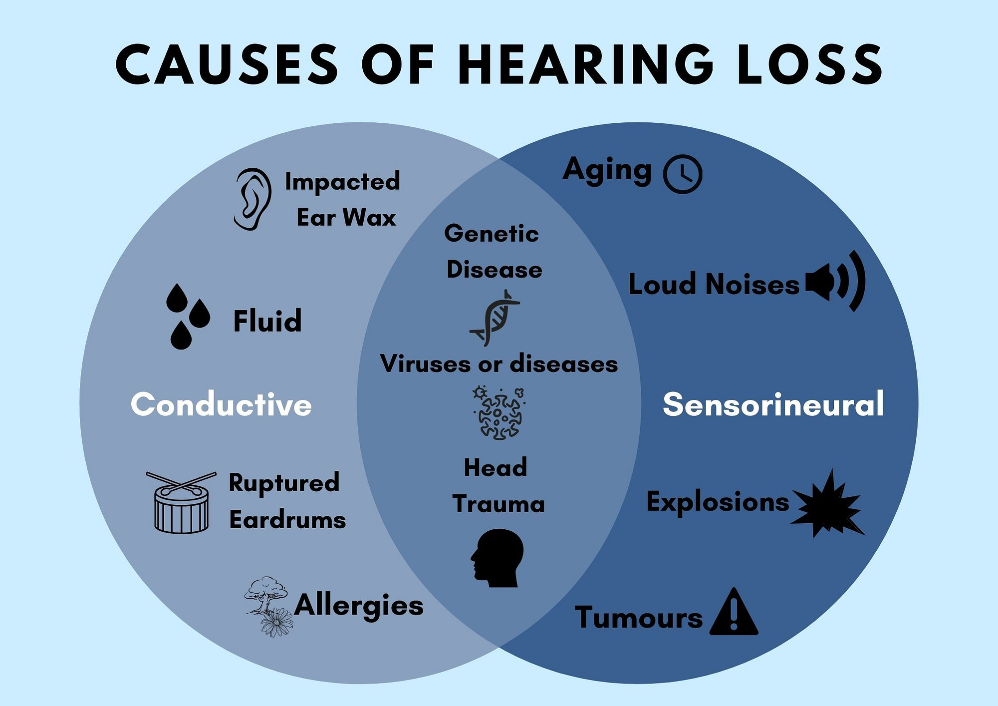 Conductive Hearing Loss Causes